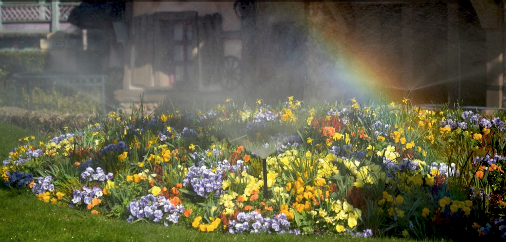 Preserving water at Disneyland Paris • DisneylandParis News